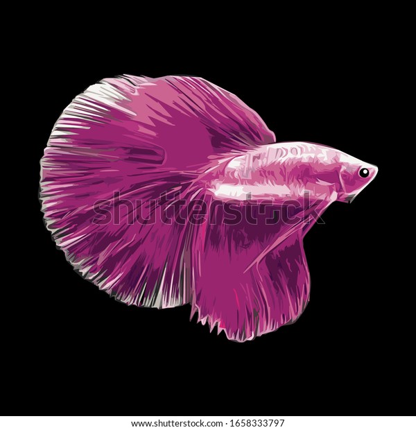 Cartoon Illustration Fighting Fish Gradation Purple Stock Vector ...