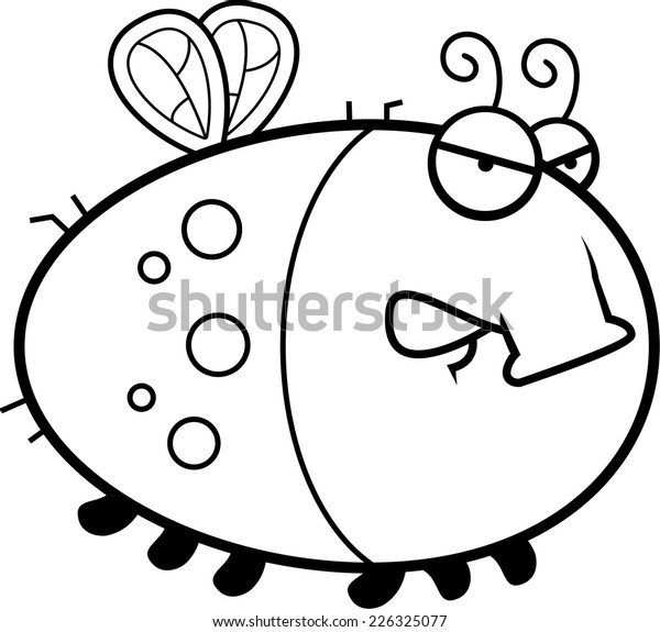 Cartoon Illustration Fly Angry Expression Stock Vector (Royalty Free ...