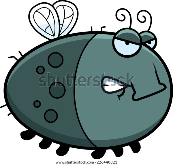 Cartoon Illustration Fly Angry Expression Stock Vector (Royalty Free ...