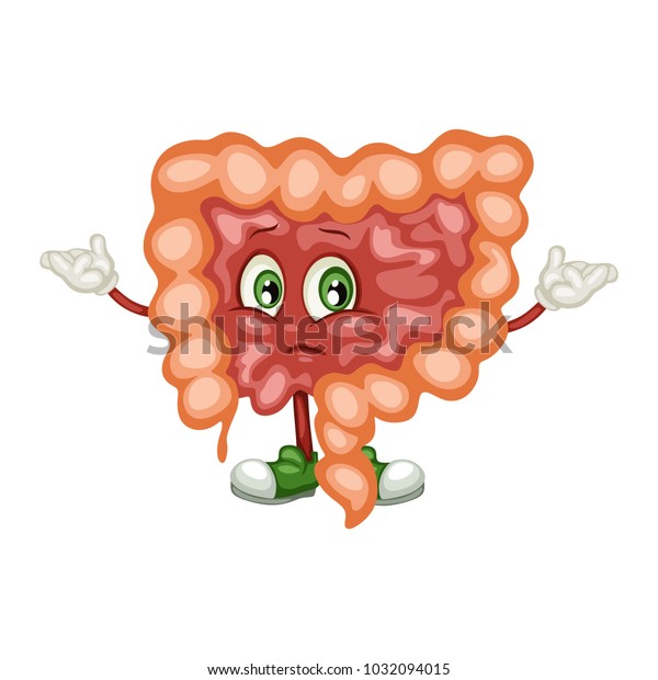 Cartoon Illustration Intestine Human Internal Organs Stock Vector ...
