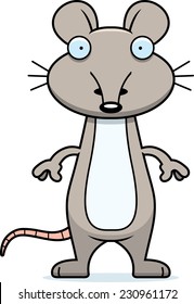 Cartoon Illustration Mouse Looking Angry Stock Vector (Royalty Free ...