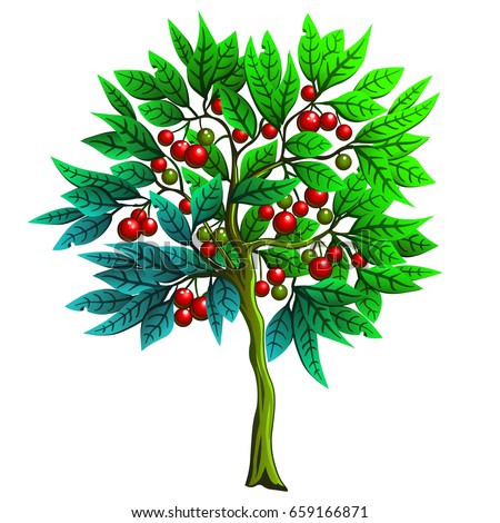 Cartoon Illustration Tree Red Berries Cherry Stock Vector (Royalty Free ...