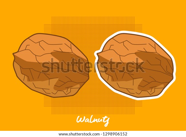 Cartoon Illustration Walnut Vectors Stock Vector (Royalty Free ...