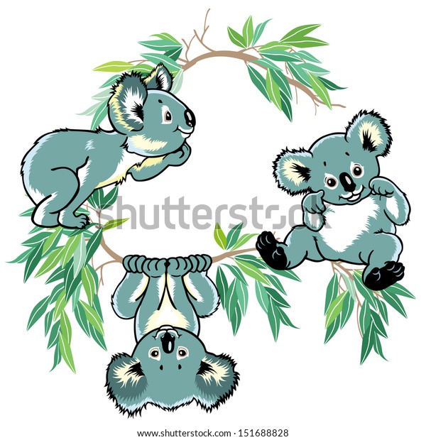 Cartoon Koala Bears Climbing Eucalyptus Tree Stock Vector (Royalty Free ... Cartoon Koala Bears Climbing Eucalyptus Tree Stock Vector (Royalty Free ...