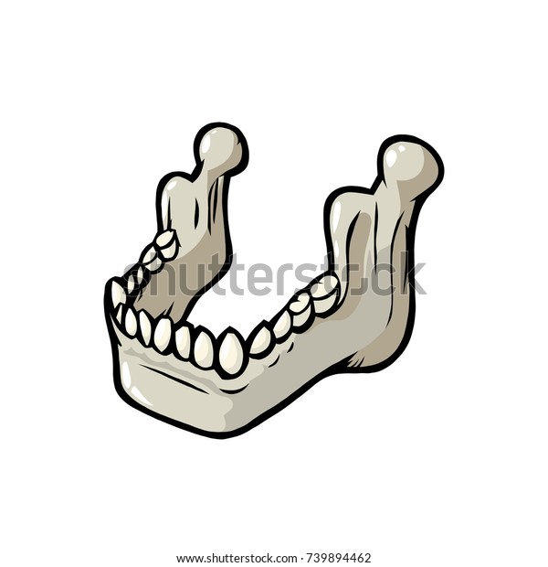 Cartoon Lower Jaw Man On White 库存矢量图（免版税）739894462