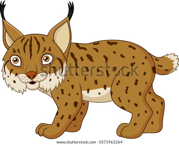 Cartoon Lynx Isolated On White Background: เวกเตอร์สต็อก (ปลอดค่า ...