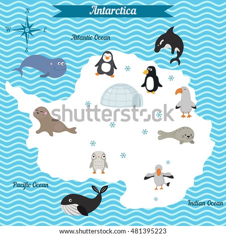 Cartoon Map Antarctica Continent Different Animals 库存矢量图（免版税） 481395223 ...