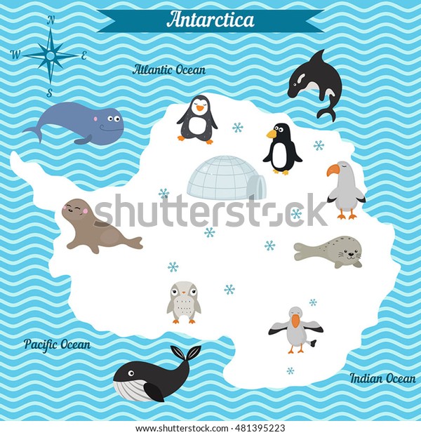 Cartoon Map Antarctica Continent Different Animals Stock Vector ...