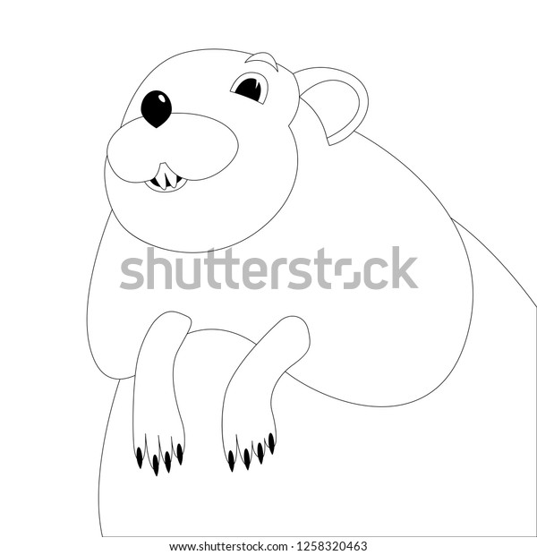 Cartoon Muskrat Face Vector Illustration Lining Stock Vector (Royalty ...