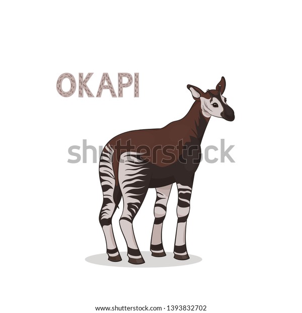 Cartoon Okapi Isolated On White Background Stock Vector (Royalty Free ...