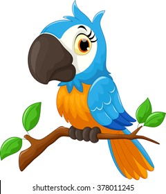 202 Pampered Parrot Images, Stock Photos & Vectors | Shutterstock