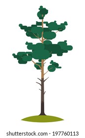 Cartoon Pine Tree On Transparent Background Stock Vector (Royalty Free ...