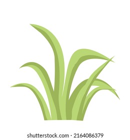 Cartoon Plant Green Grass Vector Isolated Stock Vector (Royalty Free ...