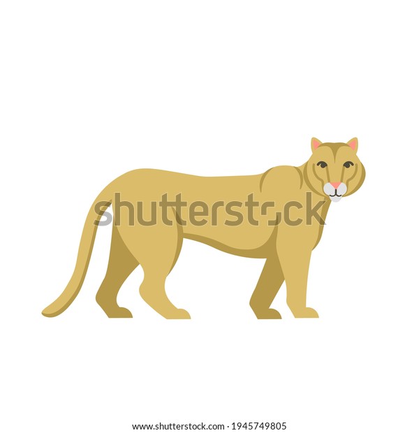 Cartoon Puma On White Backgroundflat Cartoon Stock Vector (Royalty Free ...