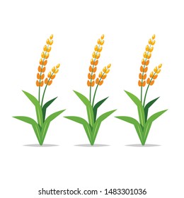 Cartoon Rice Plants Vector Isolated Illustration Stock Vector (Royalty ...