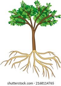 52,521 Roots cartoon Images, Stock Photos & Vectors | Shutterstock