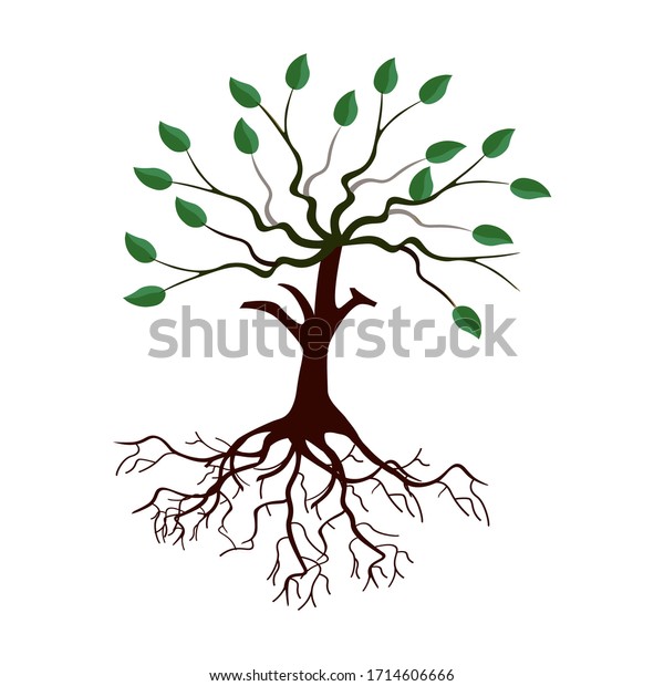 Cartoon Baum mit Wurzeln und Blättern.: Stock-Vektorgrafik (Lizenzfrei ...