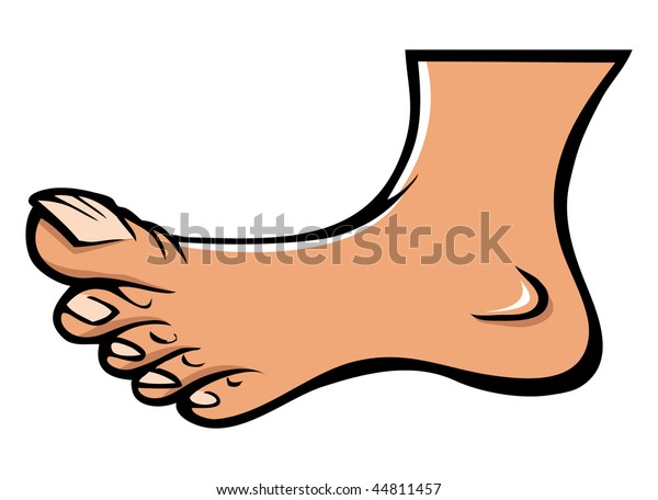 Cartoon Vector Illustration Human Foot Stock Vector (Royalty Free) 44811457