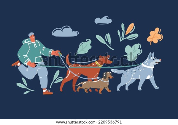 Cartoon Vector Illustration Man Dogs Walker Stock Vector (Royalty Free ...