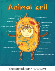 68 Secretory vesicles Images, Stock Photos & Vectors | Shutterstock