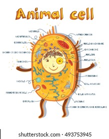 68 Secretory vesicles Images, Stock Photos & Vectors | Shutterstock