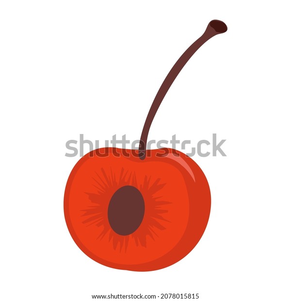 Cartoon Vector Object Sliced Cherry Stock Vector (Royalty Free ...