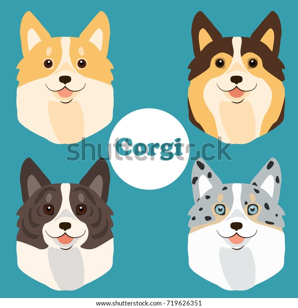 Cartoon Welsh Corgi Faces Set Vector Stock Vector (Royalty Free ...