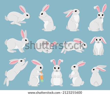 Bunny Tail Clipart | Free download on ClipArtMag