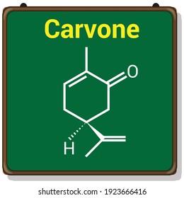 Carvone Images, Stock Photos & Vectors | Shutterstock