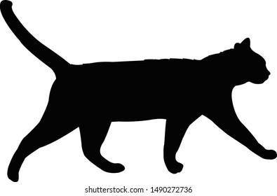 Cat Body Silhouette Vector Stock Vector (Royalty Free) 1490272736 ...