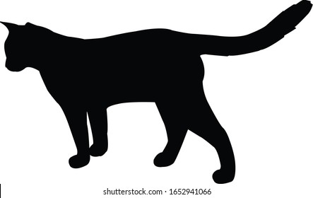 Cat Body Silhouette Vector Stock Vector (Royalty Free) 1652941066 ...