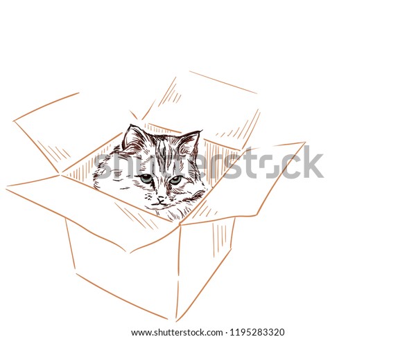 Cat Box Vector Sketch Illustration Card 库存矢量图（免版税）1195283320 | Shutterstock