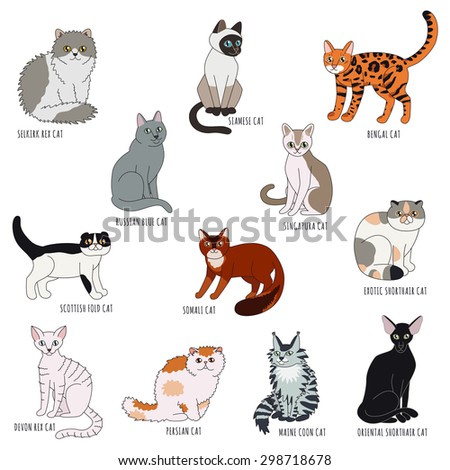Cat Breeds Cartoon Style Vector Set Stock Vector (Royalty Free ...