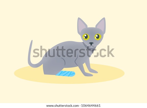 Cat Broken Leg Vector Cartoon Isolated: เวกเตอร์สต็อก (ปลอดค่าลิขสิทธิ์ ...