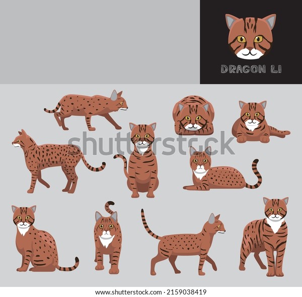 Cat Dragon Li Cartoon Vector Illustration: เวกเตอร์สต็อก (ปลอดค่า ...