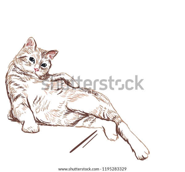Cat Lay Vector Sketch Illustration Card Stock Vector (Royalty Free ...