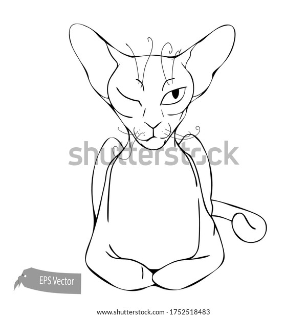 Cat Line Illustration Vector Black White Stock Vector (Royalty Free ...