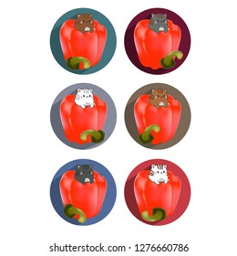 149 Cat paprika Images, Stock Photos & Vectors | Shutterstock