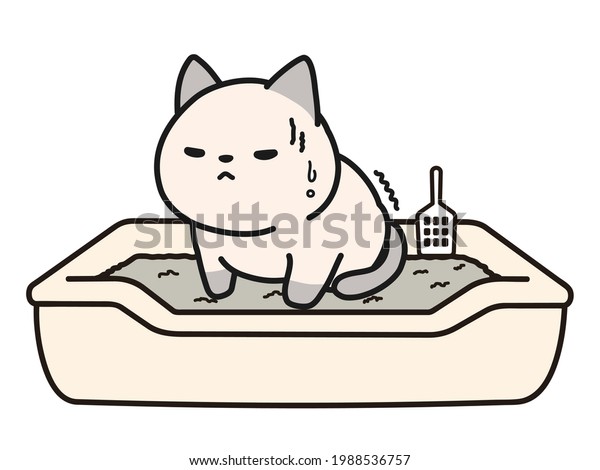 Cat Peeing Toilet Stock Vector (Royalty Free) 1988536757 | Shutterstock