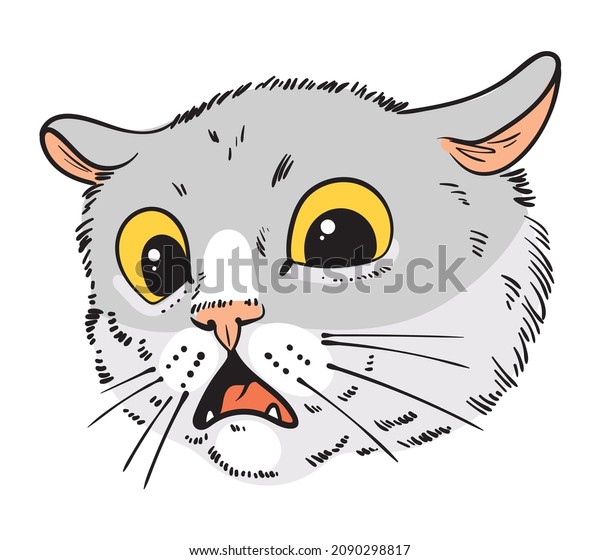 Shocked cat face : 3 539 images, photos et images vectorielles de stock ...
