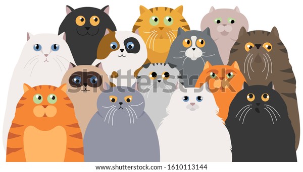 Cat Poster Cartoon Cat Characters Collection: เวกเตอร์สต็อก (ปลอดค่า ...