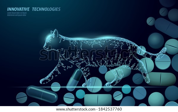 Cat Silhouette Veterinary Pharmacy Banner Template Stock Vector ...