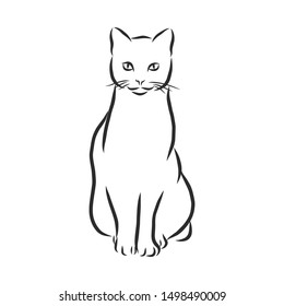 Cat Sitting Contour Vector Illustration: เวกเตอร์สต็อก (ปลอดค่า ...