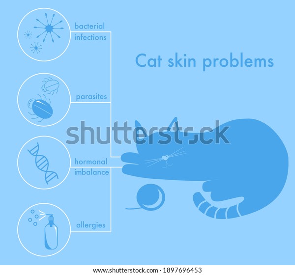 Cat skin problems.Infographics icons with different reasons of allergy ...