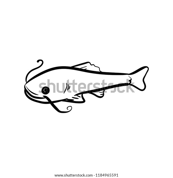 Catfish Icon Outline Stock Vector (Royalty Free) 1184965591 | Shutterstock