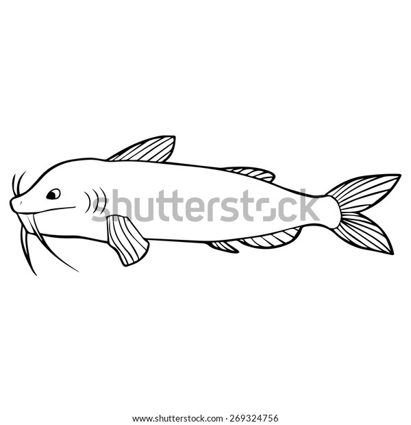 Catfish Illustration Outline Stock Vector (Royalty Free) 269324756 ...