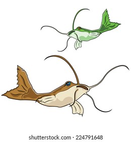 66 Channel catfish Stock Vectors, Images & Vector Art | Shutterstock