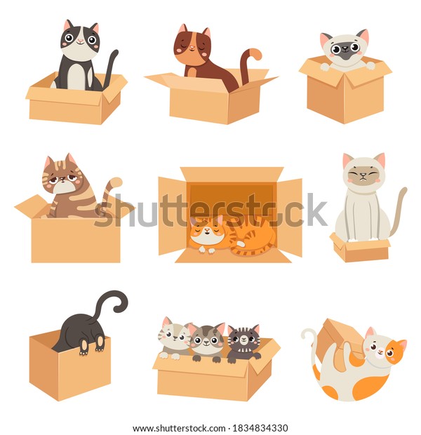 Cats Boxes Cute Stickers Cat Sitting Stock Vector (Royalty Free) 1834834330