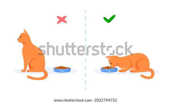Cats Good Bad Appetite Picky Cat Stock Vector (Royalty Free) 2022794732 ...