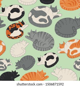 349 Tortoiseshell cat Stock Illustrations, Images & Vectors | Shutterstock